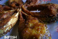 রেসিপি: ইলিশ ভাজি – BdFISH Bangla