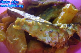 রেসিপি: চাপিলা শুটকি ও আলু চচ্চড়ি – BdFISH Bangla