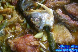 রেসিপি: কাতলা মাছ ও আলুর ঝোল – BdFISH Bangla