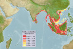 বাংলাদেশের মাছ: তেলি ফ্যাসা, Scaly hairfin anchovy, Setipinna taty ...